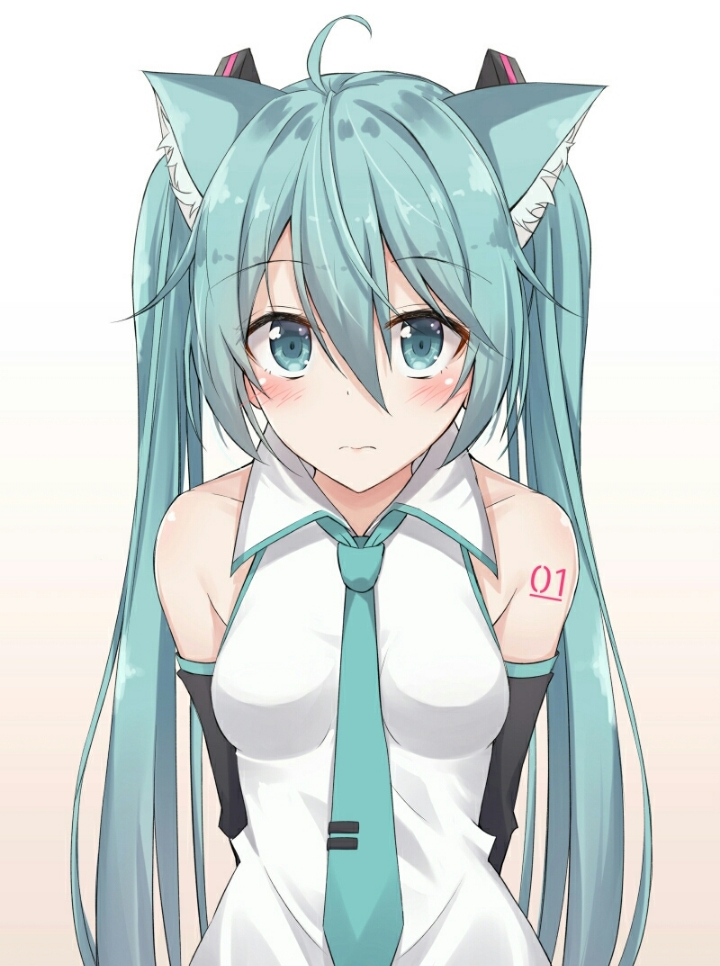 二次元（初音） - 主题爱好者资源分享 花粉俱乐部